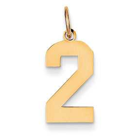 14K Gold Medium Polished Number 2 Charm – PriceRock