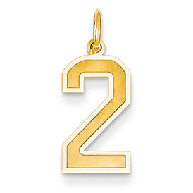 14K Gold Medium Satin Number 2 Charm – PriceRock